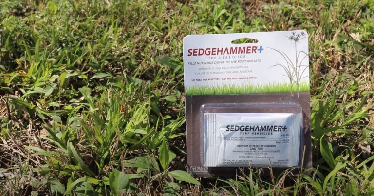 Sedgehammer Herbicide Website - Premium Weed Killer